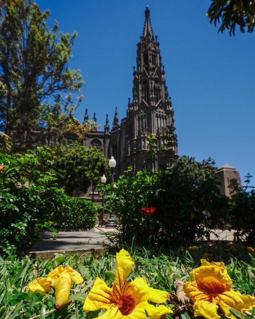 ¡DISFRUTA DE LA CIUDAD DE LAS FLORES EN PRIMAVERA! – Arucas Mola